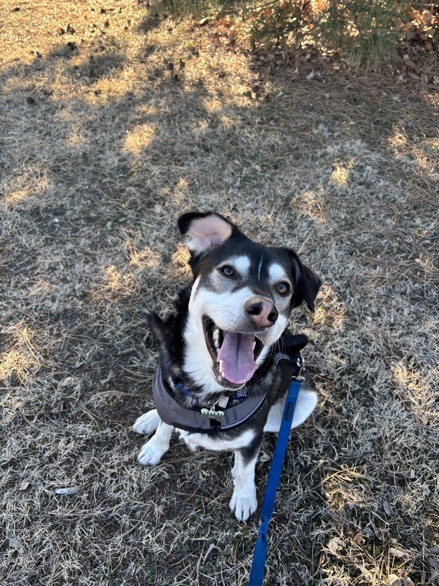 Trever Taylor | Web Developer | Custom Websites | Lee Media Group